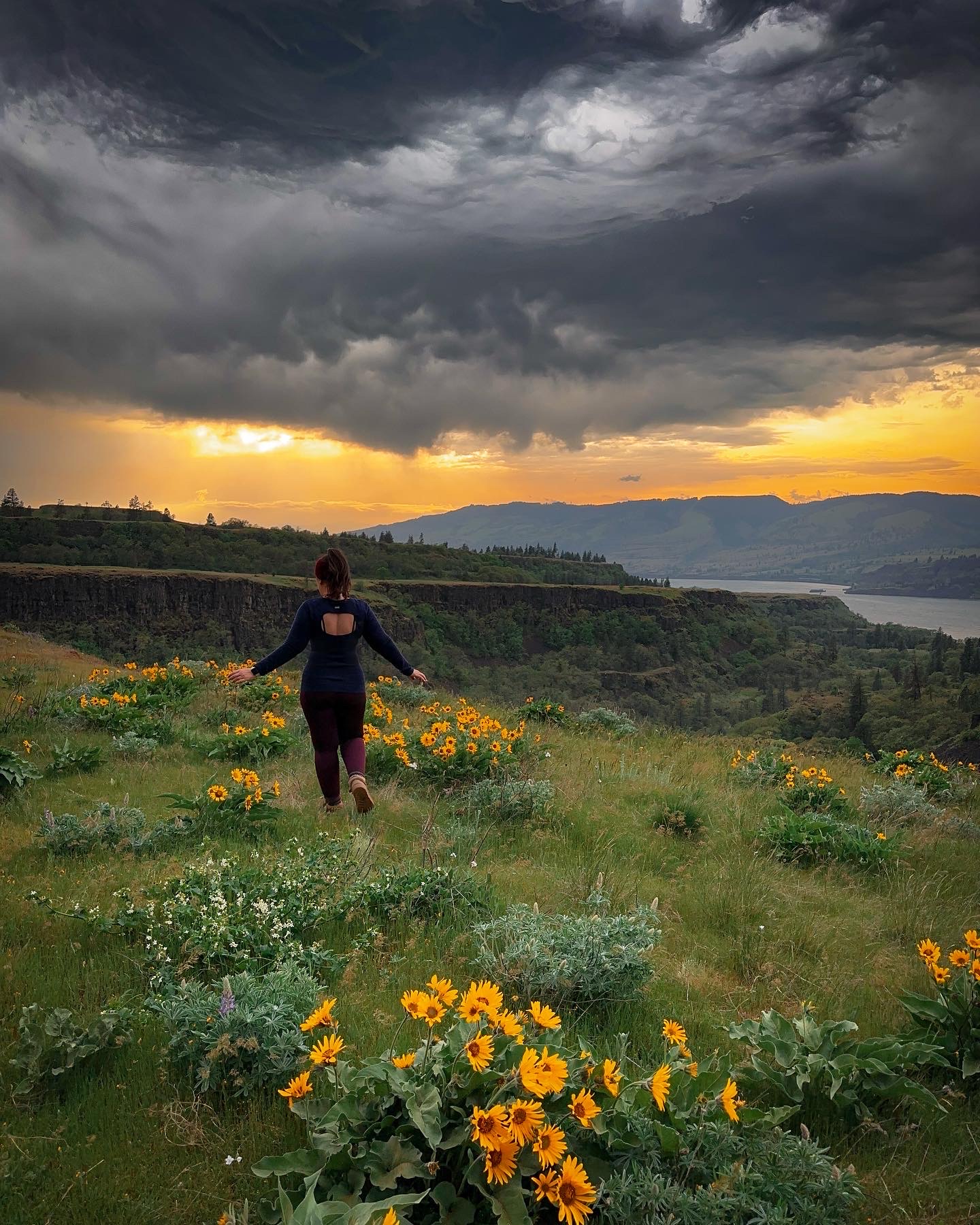 The Best Places in the Pacific Northwest to See Wildflowers in the ...